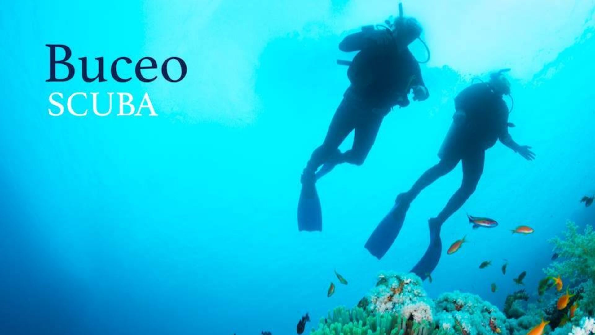 Buceo en Huatulco - Ruta21.mx